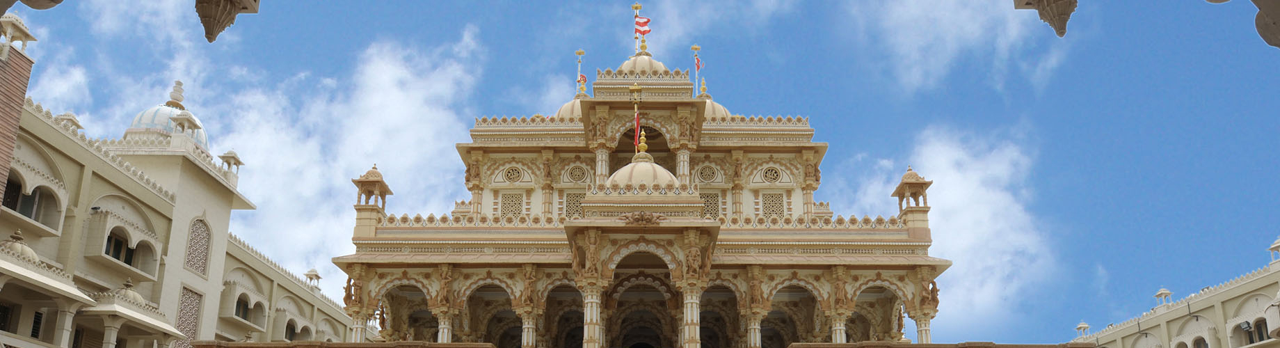 About BAPS – PSM100